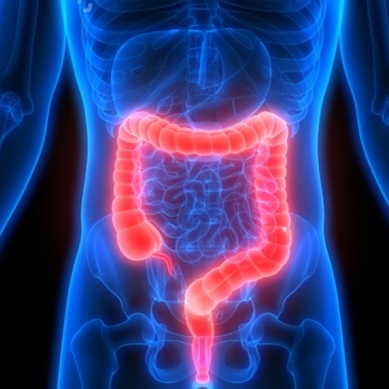 Expert Colon Surgery in Northern Sydney | Dr. Amir Ashrafi
